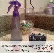 Homemade Volumizing Scrunching Spray