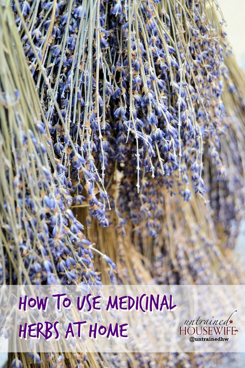 How to Use Medicinal Herbs at Home: Making Herbal Infusions, Decoctions ...