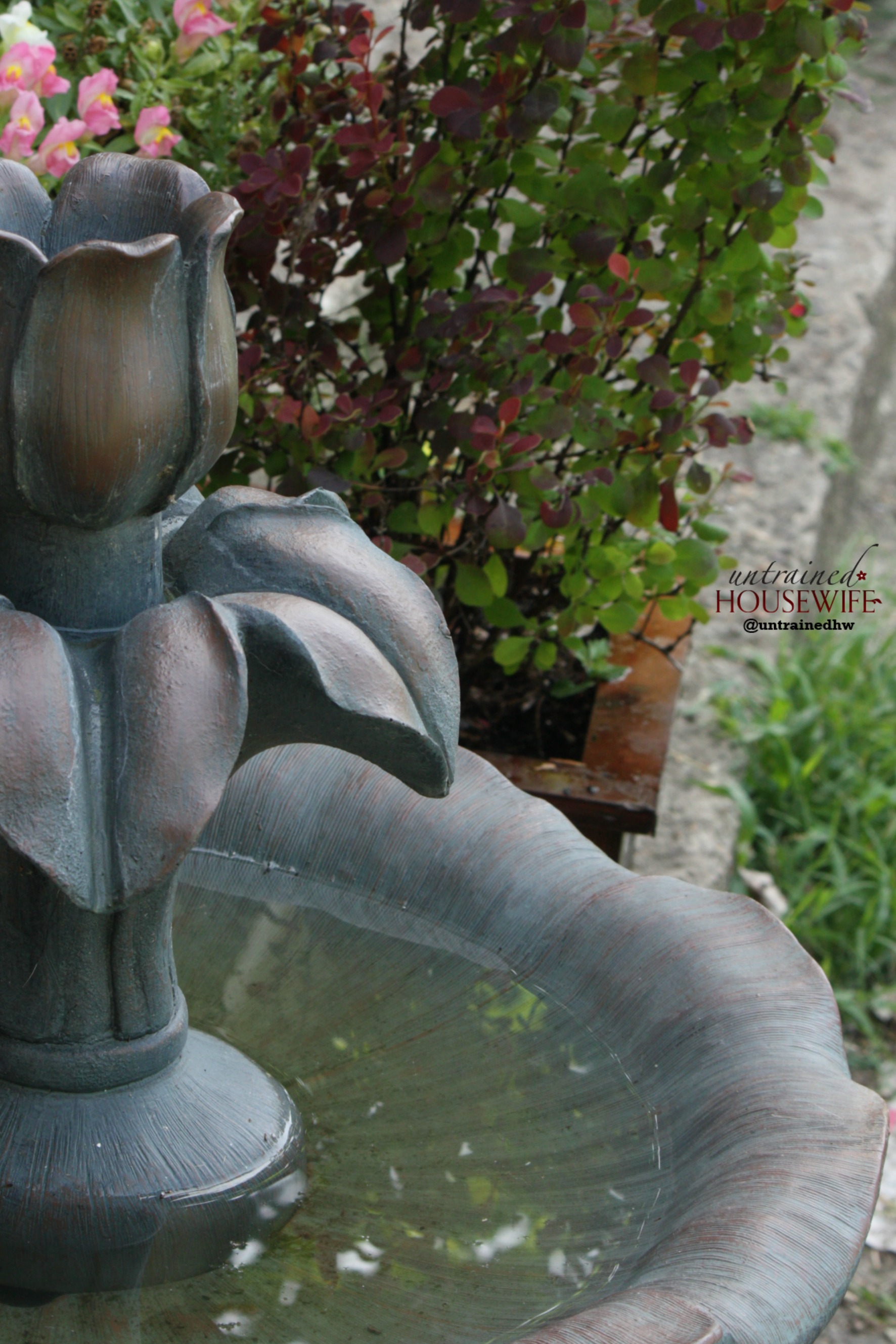 Add a Beautiful Water Feature for Tropical Look